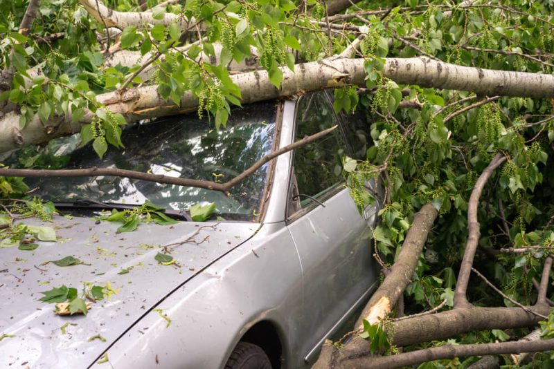Protecting Your Vehicle From Natural Disasters With Auto Insurance ...
